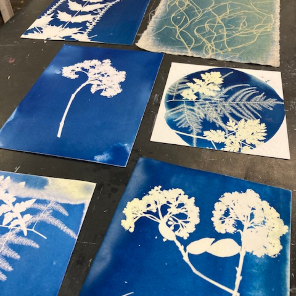 Cyanotype Workshop | Arts & Crafts Clubs Warwick – Artworks UK